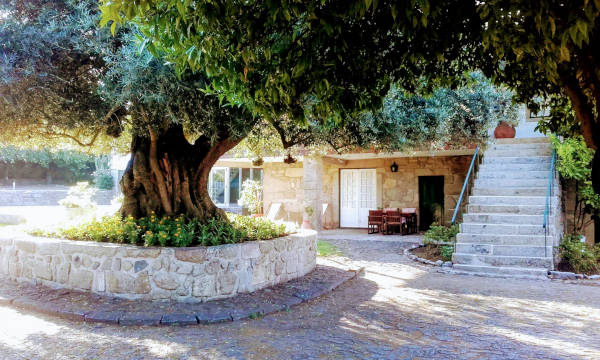 Domus Guest House - Associação Domus